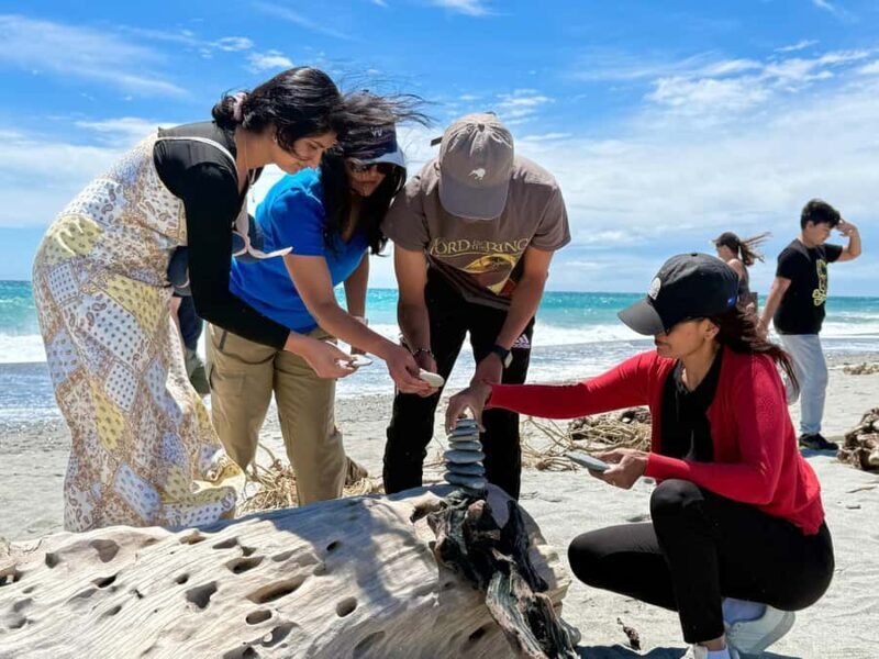 Christchurch to Queenstown via Franz Josef 2-Day Tour - FAQ