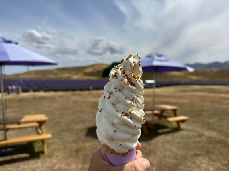 Christchurch: to Queenstown via Mt Cook 1 Way Tour - Final Thoughts