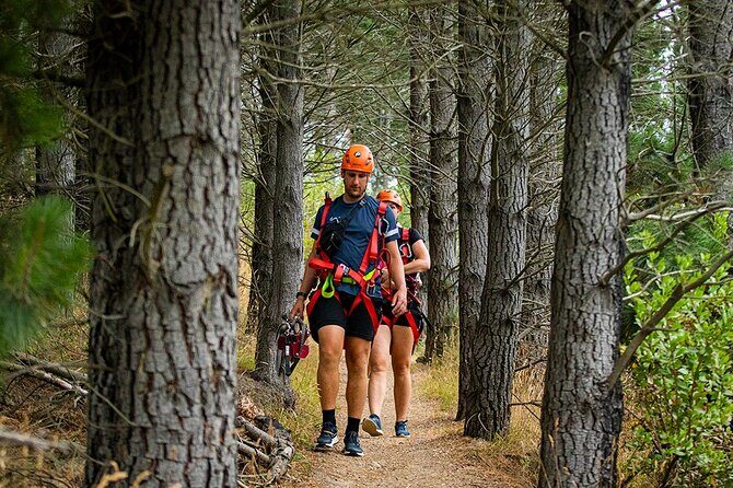Christchurch Zipline Tour - Who Should Consider This Tour?