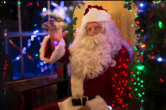 Christmas Holiday Lights NYC Sightseeing Tours with Special Gifts - Final Thoughts