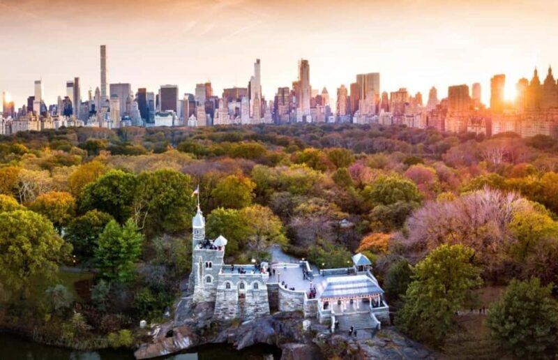 Christmas in Central Park: Horse Carriage Holiday Tour - An In-Depth Look at the Experience