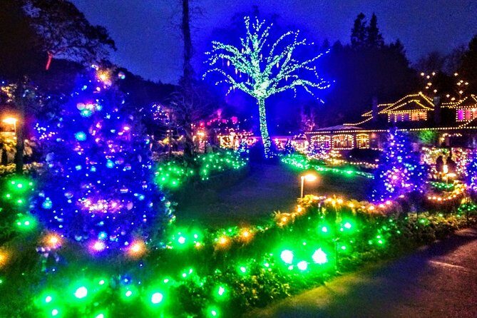 Christmas in Victoria and the Butchart Gardens - An In-Depth Look at the Tour Experience