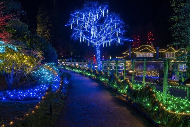 Christmas Lights Tour Butchart Gardens & City Tour in Victoria BC - Who Will Love This Tour?