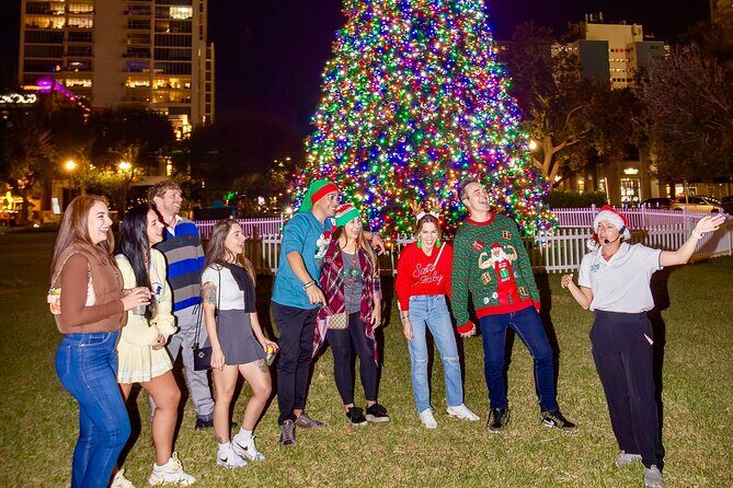 Christmas Lights Wonderland St. Pete Golf Cart Tour - Who Will Love This Tour?