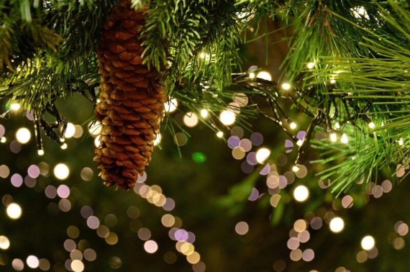 Christmas Tales in Canterbury  Private Walking Tour - Who Will Love This Tour?