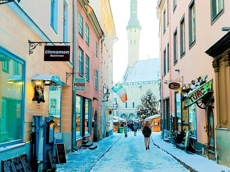 Christmas Tales in Tallinn - 2 Hours Walking Tour - Who should consider this tour?