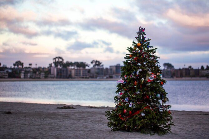 Christmas Time in San Diego - Walking Tour - A Detailed Look at the Tour Experience
