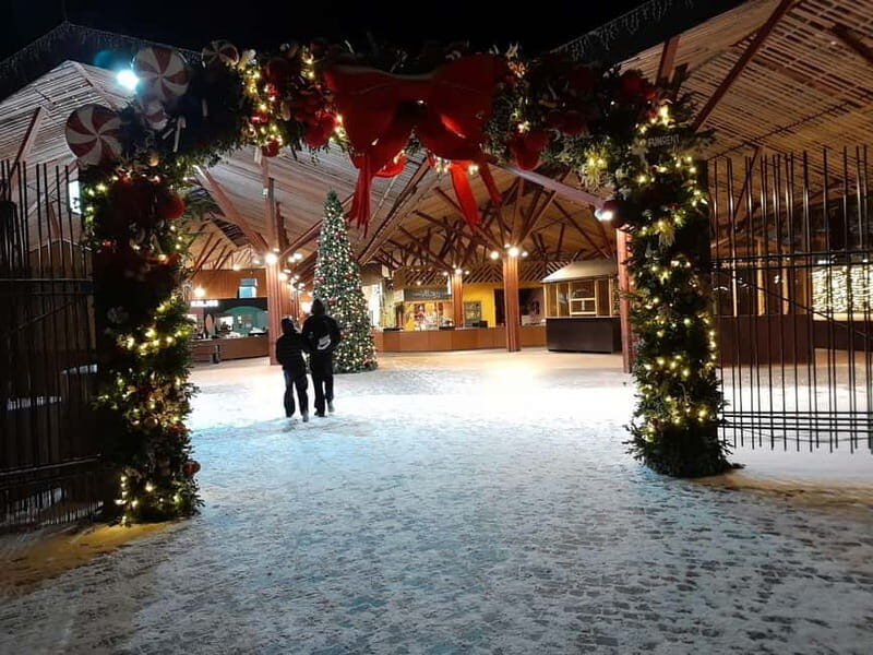 Christmas walking tour Tallinn Christmas market - Key Points