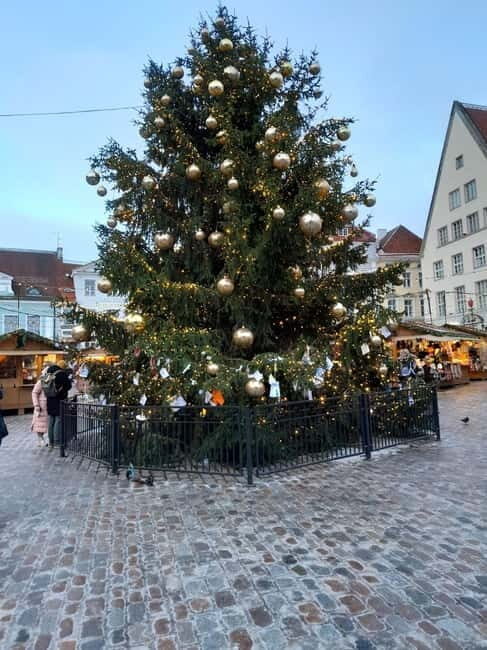 Christmas walking tour Tallinn Christmas market - Who Will Enjoy This Tour?