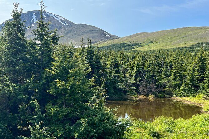Chugach State Park Nature Walk - Practicalities and Considerations