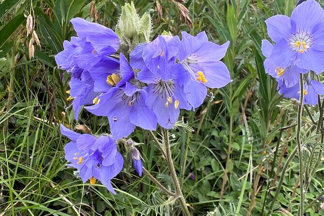 Chugach State Park Nature Walk - The Sum Up