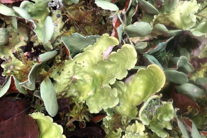 Chugach State Park Nature Walk - FAQ