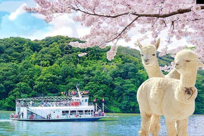 Chuncheon Special-Nami Island, Alpaca World And Rail Bike - Key Points