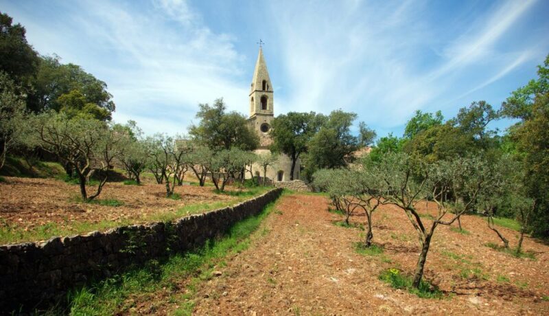 Churches of Provence & French Countryside Private Tour - Who Will Love This Tour?
