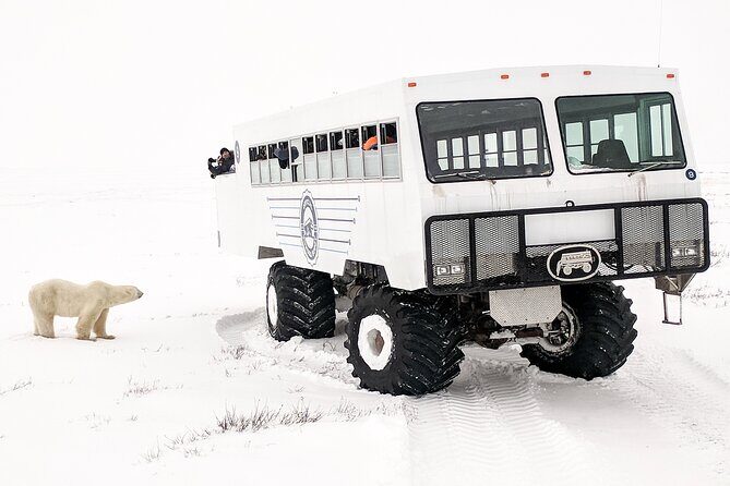 Churchill Polar Bear Experience  5-Night Classic Tour - FAQs