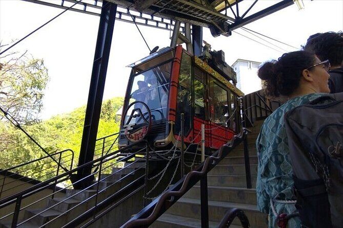 Chureito Pagoda-Arakurayama and Lake Kawaguchi Guided Tour-Van - Transportation and Logistics
