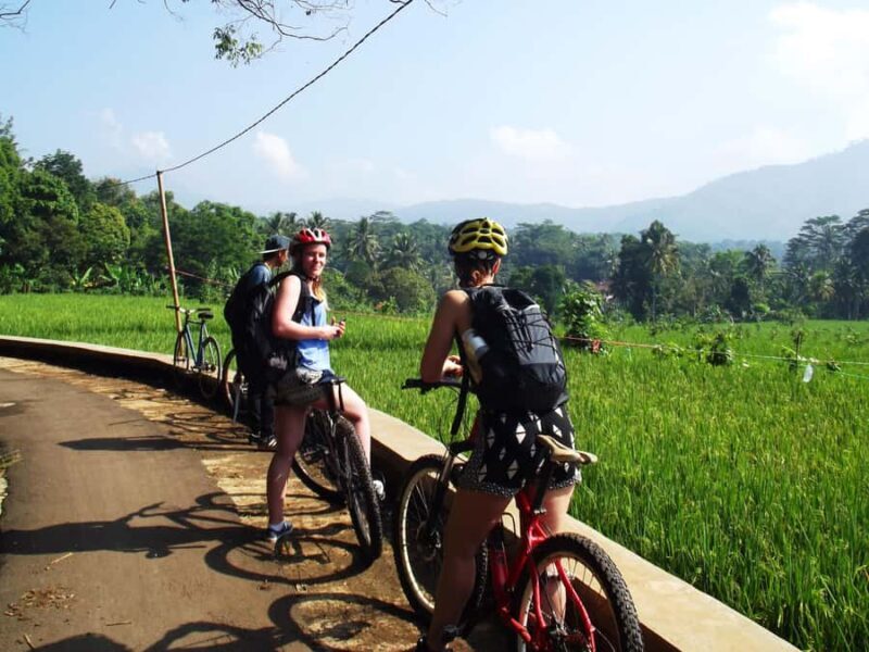 CIanjur : Downhill and Countryside Cianjur Cycling Tour - Key Points
