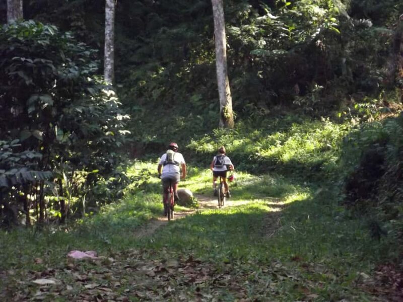 CIanjur : Downhill and Countryside Cianjur Cycling Tour - Exploring the Cianjur Countryside by Bike
