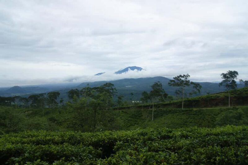 Cianjur: Full-Day Historical Tour of Gunung Padang and Falls - Key Points