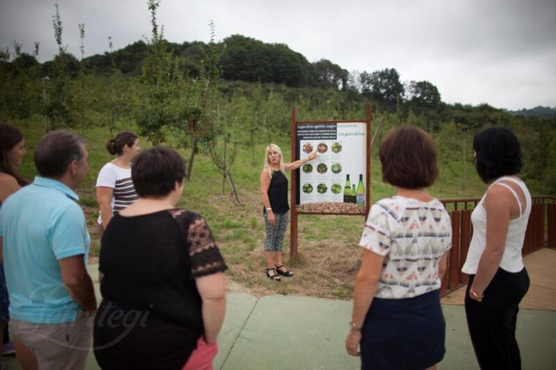 Cider House Experience From San Sebastián - Why This Tour Works Well