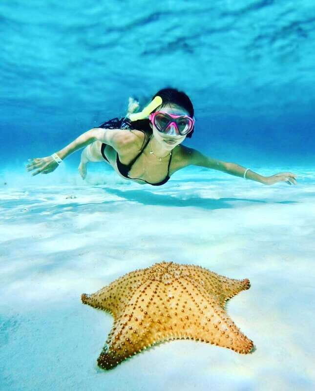 Cielo y Cielito With Transfer, Catamaran, 5 hours Open Bar and Lunch - Key Points