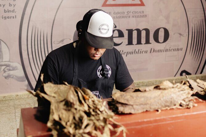 Cigar Factory Tour in Puerto Plata - What to Expect from the Cigar Factory Tour