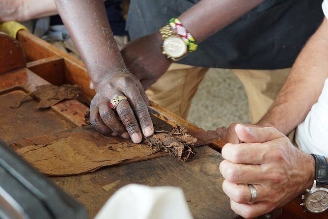 "Cigar Factory Tour Little Havana" - Key Points