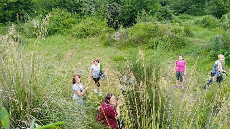 Cilento: discovering the art of broom spinning in Tortorella - Exploring the Art of Broom Spinning in Tortorella