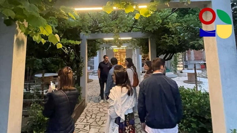 Cilento Wine: Tour & Tasting Experience - A Deep Dive into the Cilento Wine Tour & Tasting