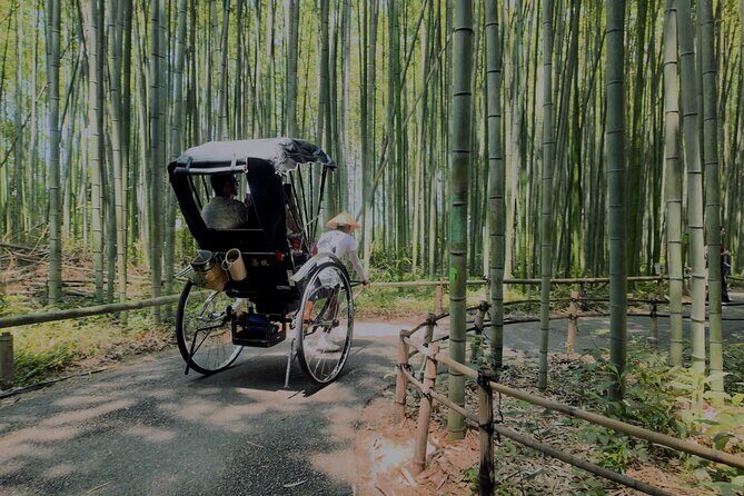 Cinematic Portrait Film Experience in Kyoto with Local Filmmaker - Detailed Breakdown of the Experience