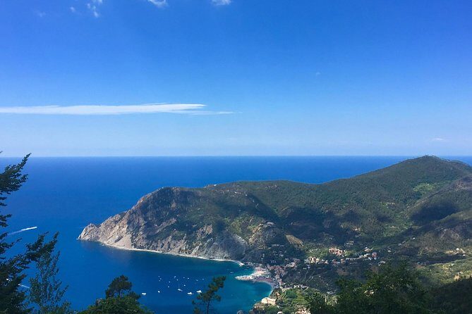 Cinque Terre and Pisa Private Tour from Livorno - FAQ