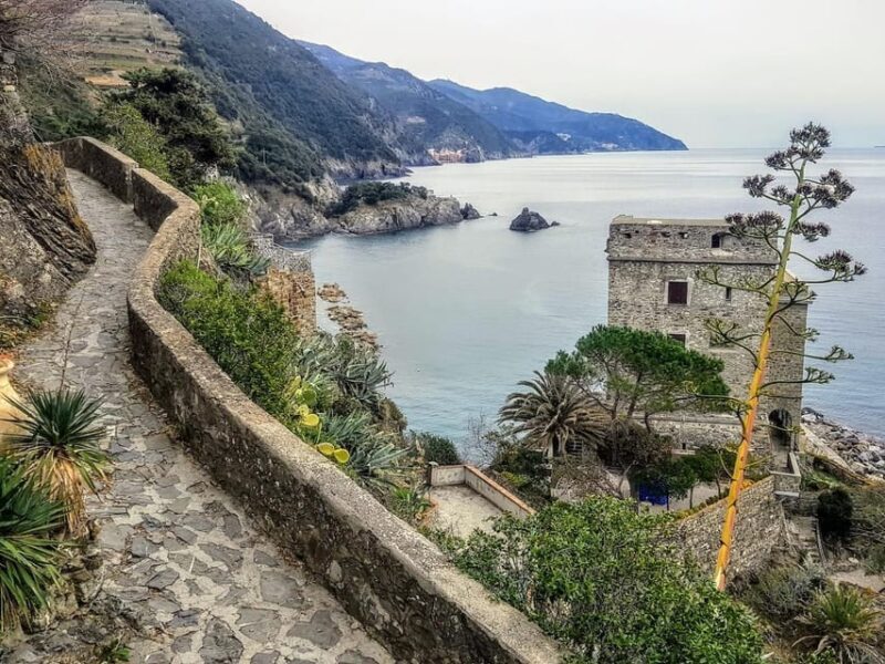 Cinque Terre: Eco Hiking and Wine Tasting - An Authentic Walk Through Liguria’s Heart