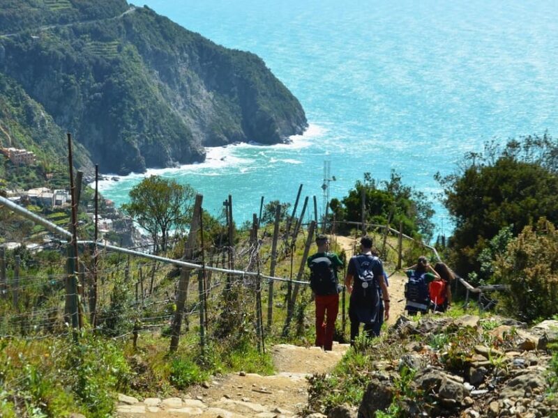 Cinque Terre: Eco Hiking and Wine Tasting - Logistics and Practical Tips