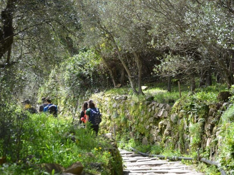 Cinque Terre: Eco Hiking and Wine Tasting - Final Thoughts