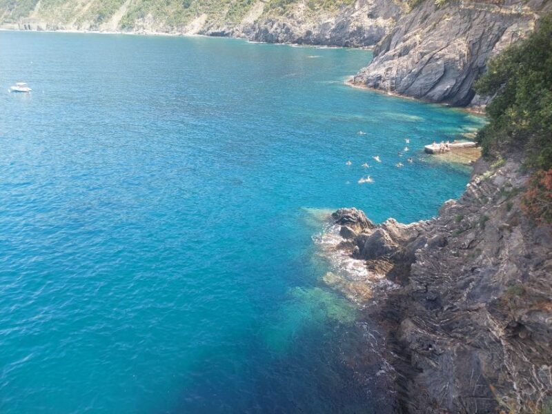 Cinque Terre from Riomaggiore to Manarola and vineyards - Key Points