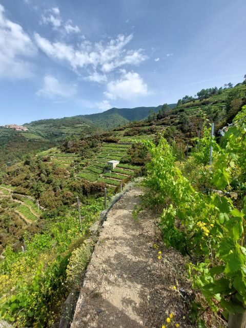 Cinque Terre from Riomaggiore to Manarola and vineyards - Who Will Love This Tour?