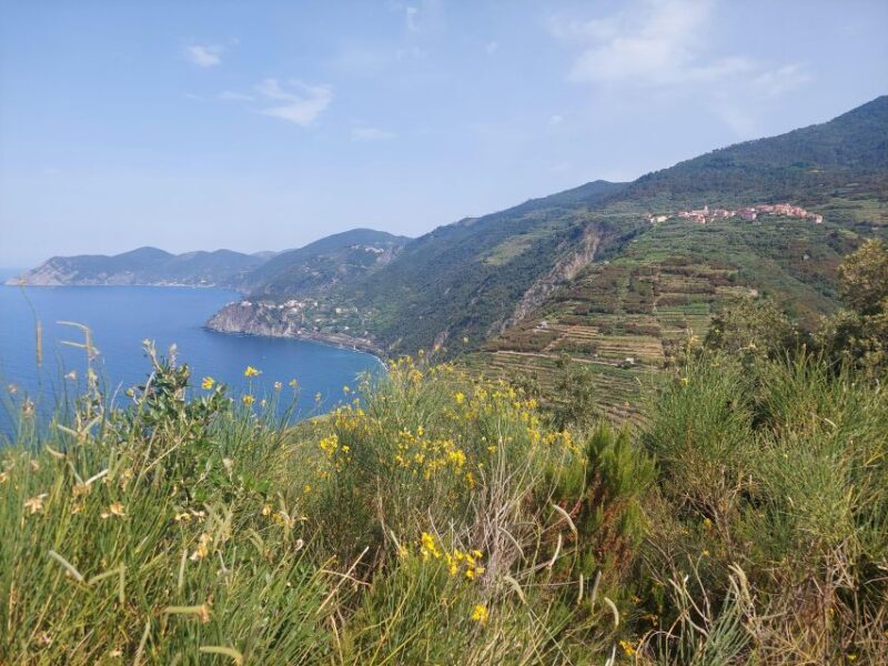 Cinque Terre from Riomaggiore to Manarola and vineyards - FAQs