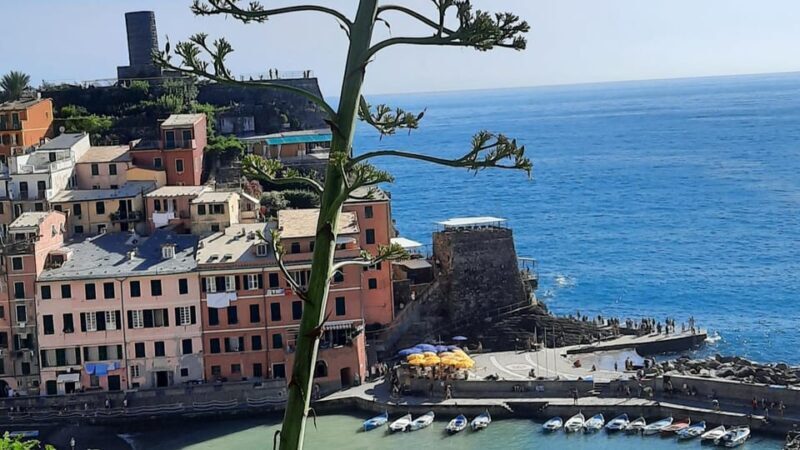 Cinque Terre Semi-Private Day Tour from Montecatini Terme - What to Expect from This Cinque Terre Day Tour