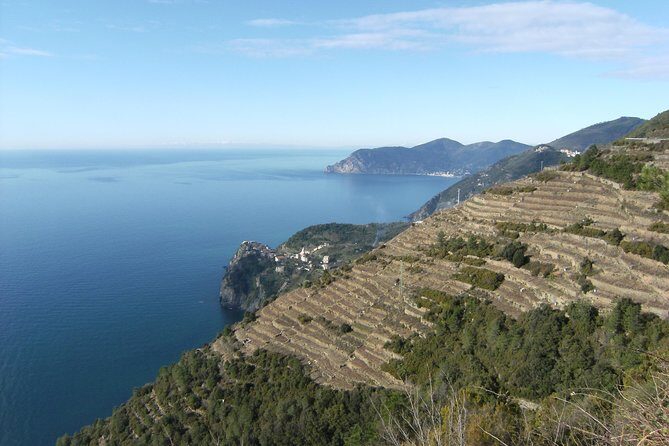 Cinque Terre Shore Excursions from Livorno Port - Considerations and Tips