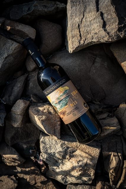 Cinque Terre: tasting in the cellar with visit to vineyards - Key Points