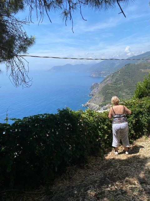 Cinque Terre Tour by van from Lucca, Pisa or La Spezia - The Experience from the Reviews