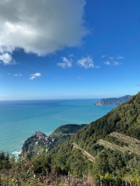 Cinque Terre Tour by van from Lucca, Pisa or La Spezia - Pricing and Value