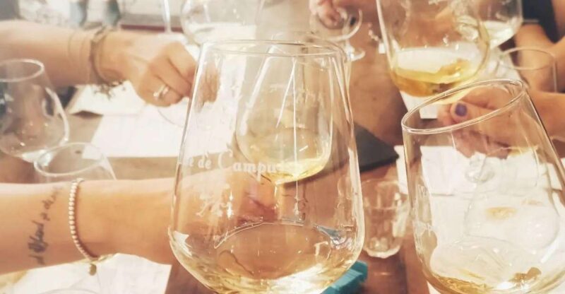 Cinque terre wine tour and tasting with the somelier - Practical Details and Value
