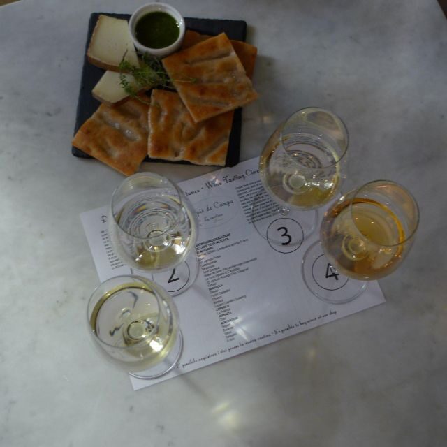 Cinque terre wine tour and tasting with the somelier - Final Thoughts