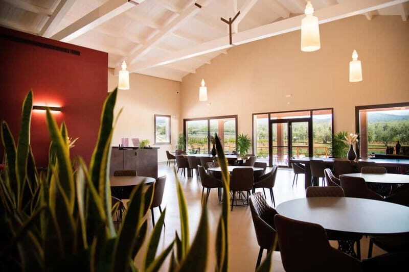 Cioccaie Tour & Monovarietal Wines Tasting - Why This Tour Excels