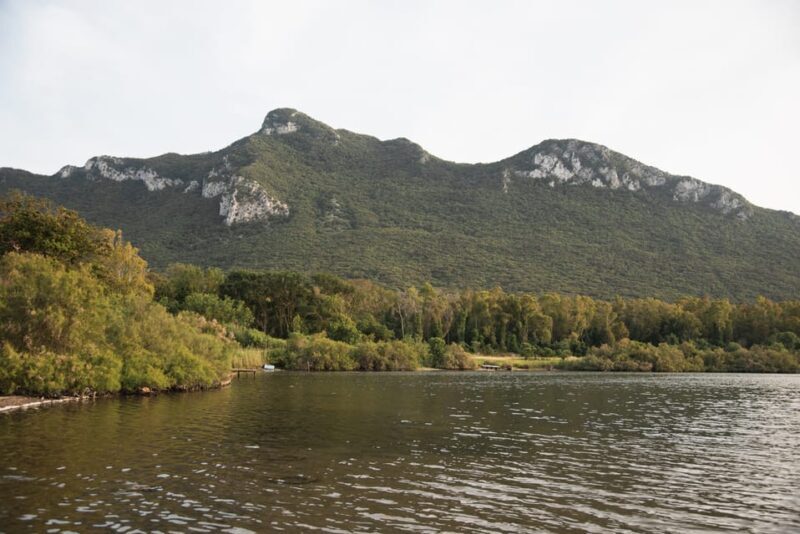 Circeo National Park:Guided kayak tour on the Lake Sabaudia - Analyzing the Value