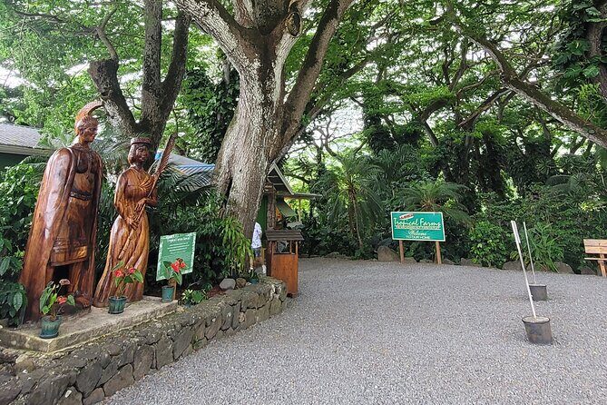 Circle Island 8hr Private Small Group Tour - Introduction