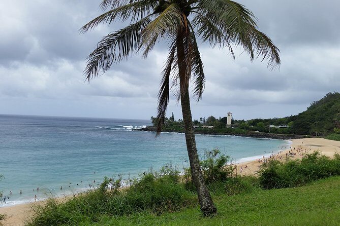 Circle Island 8hr Private Small Group Tour - An In-Depth Look at the Itinerary