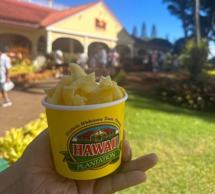 Circle Island: Swim with Turtles and Explore Paradise Oahu - A Complete Look at the Tour Experience