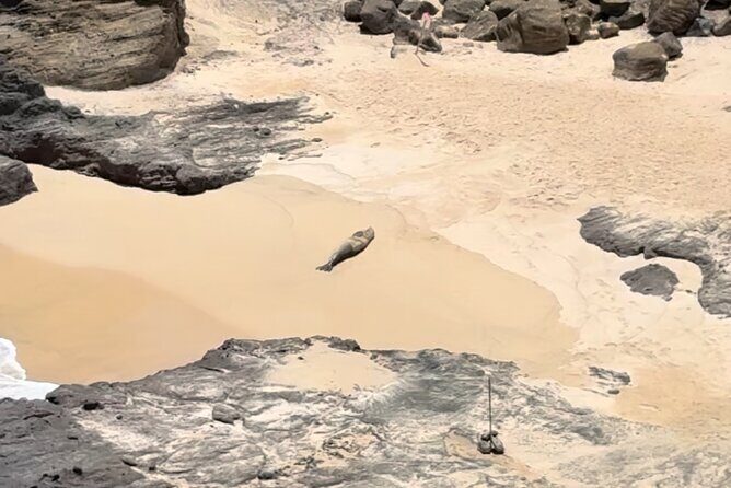 Circle Island Tour: Exclusively for Couples & Honeymooners - What We Love Most